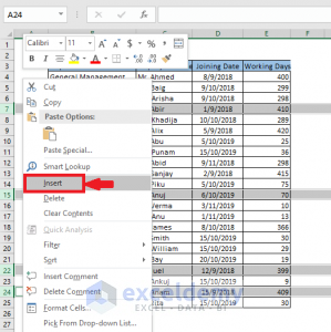How to Insert Row in Excel ( 5 Methods) - ExcelDemy