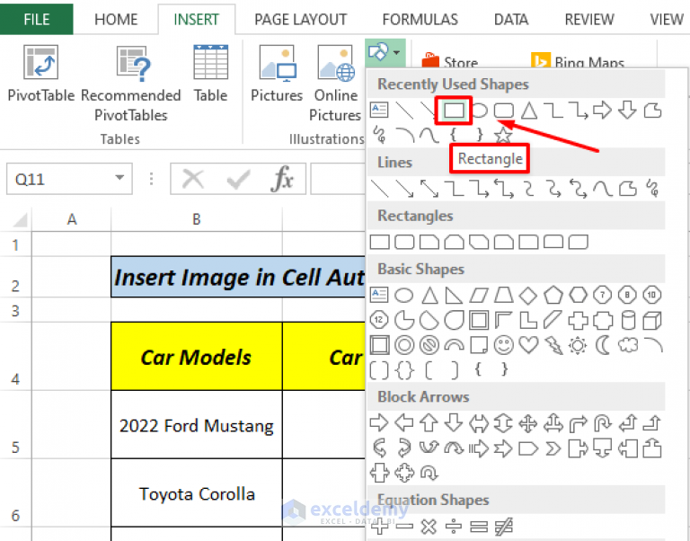 How to Insert Picture in Excel Cell Automatically - ExcelDemy