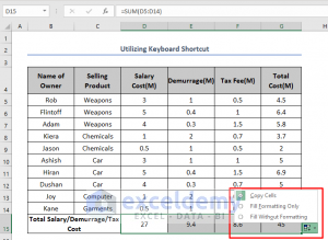 How to Use Fill Handle to Copy Formula in Excel (2 Useful Examples)