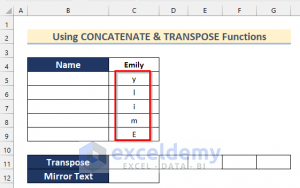 How to Mirror Text in Excel (5 Easy Ways) - ExcelDemy