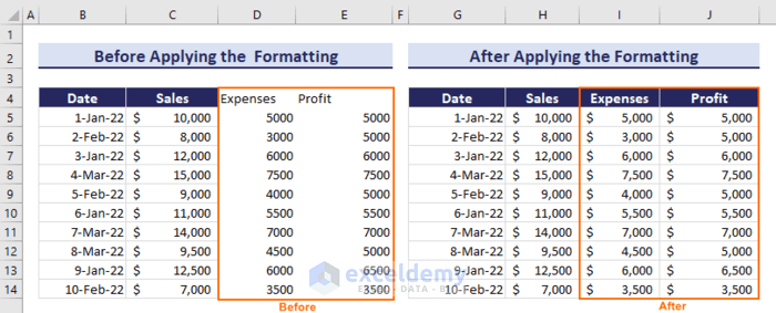 How to Use Format Painter to Copy Formatting in Excel