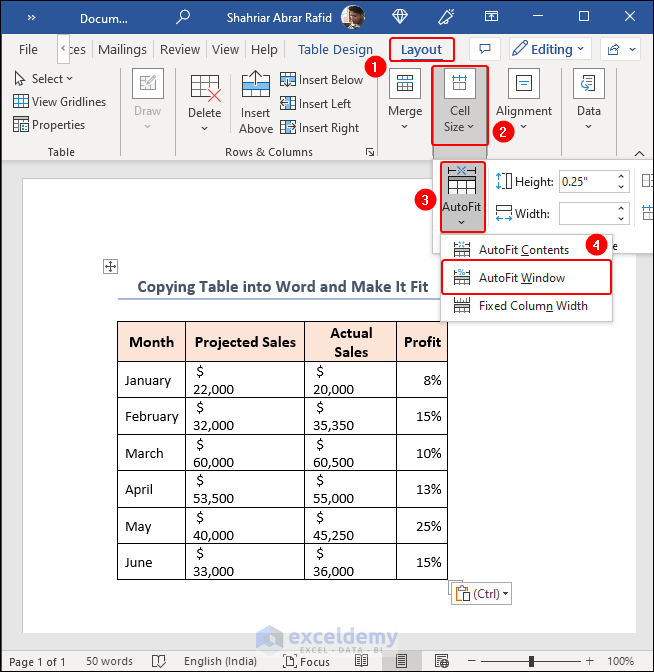 How to Copy a Chart from Excel to Word (3 Easy Ways)