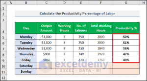 How to Calculate Productivity Percentage in Excel (3 Useful Cases)